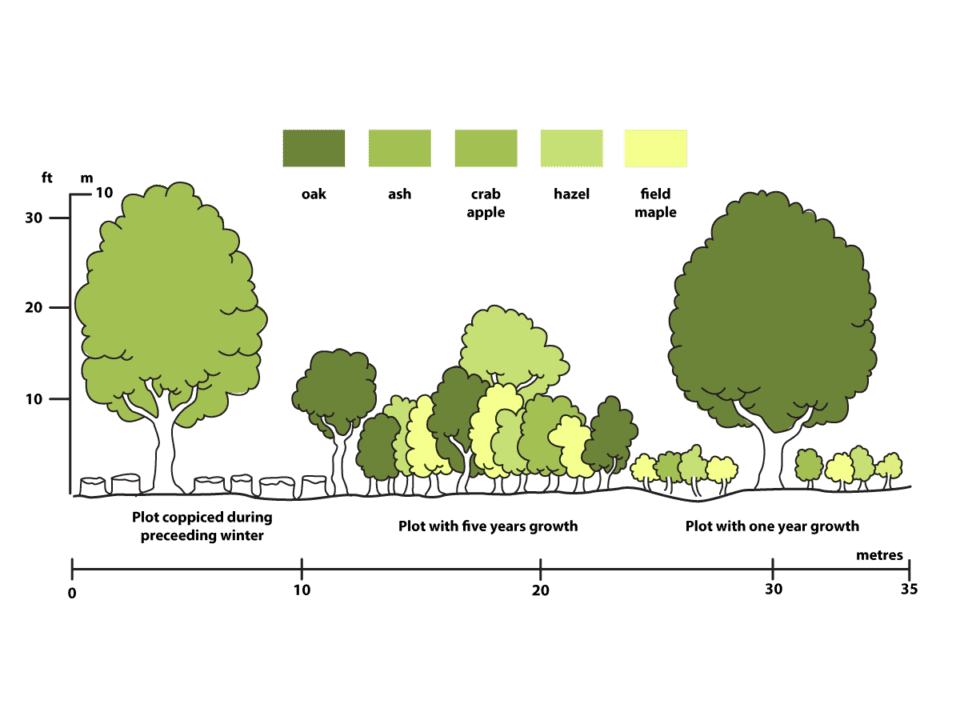 Why conserve? Reasons why we should look after our precious habitats